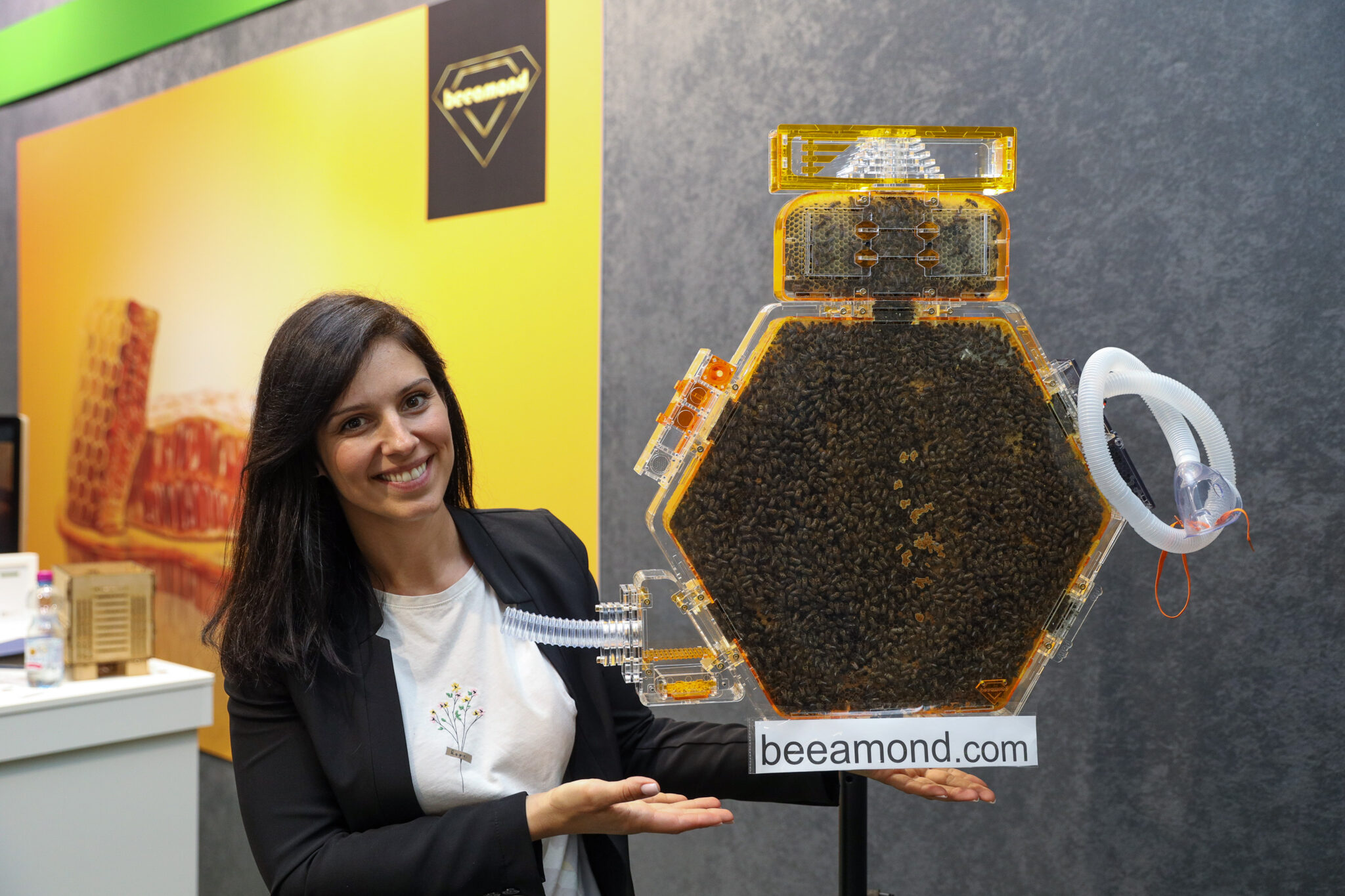 Peek into the future of urban beekeeping: Urban Indoor Beehive - Beeamond